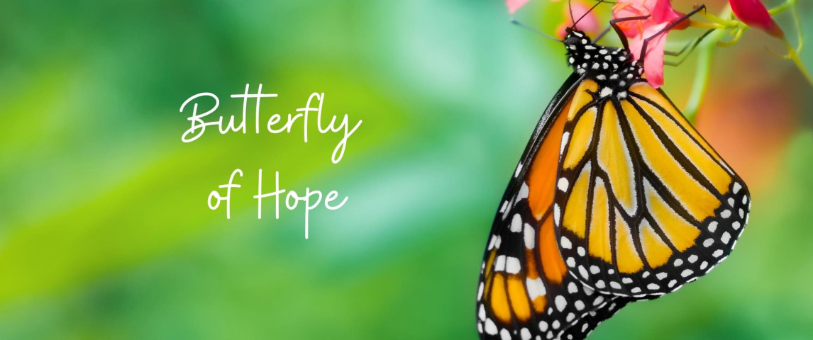 Butterflies of Hope Competition | Down and Dromore