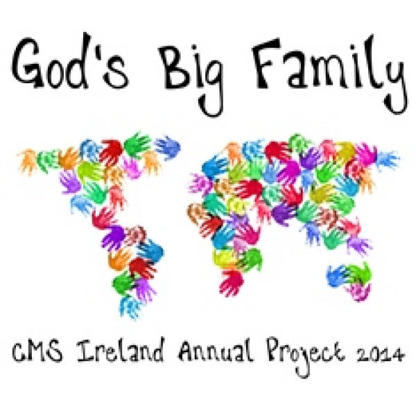 CMS Ireland announces new Annual Project | Down and Dromore