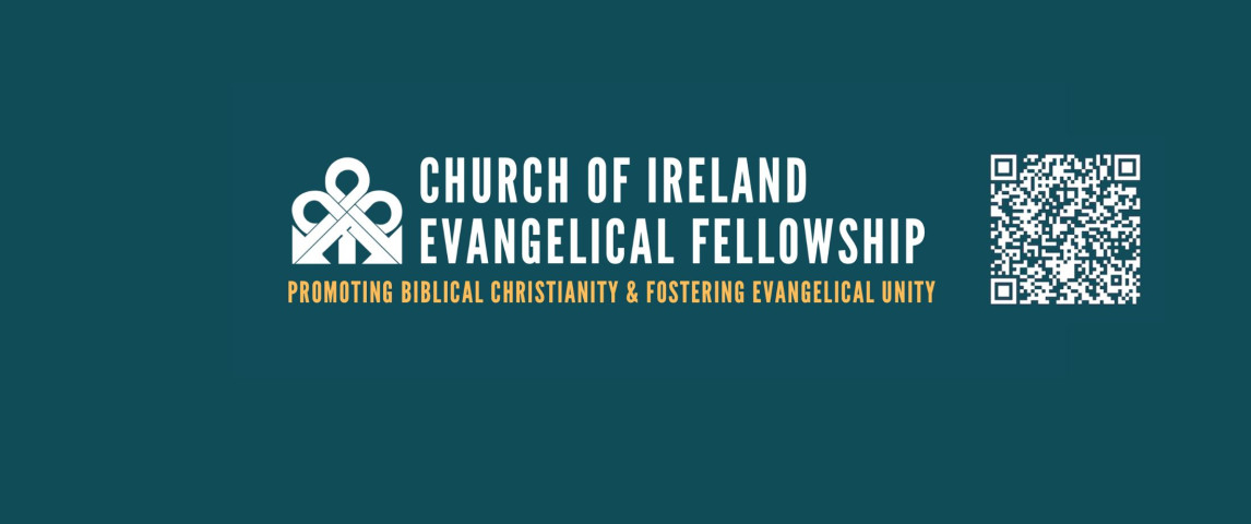 CIEF Summer Newsletter out now | Down and Dromore